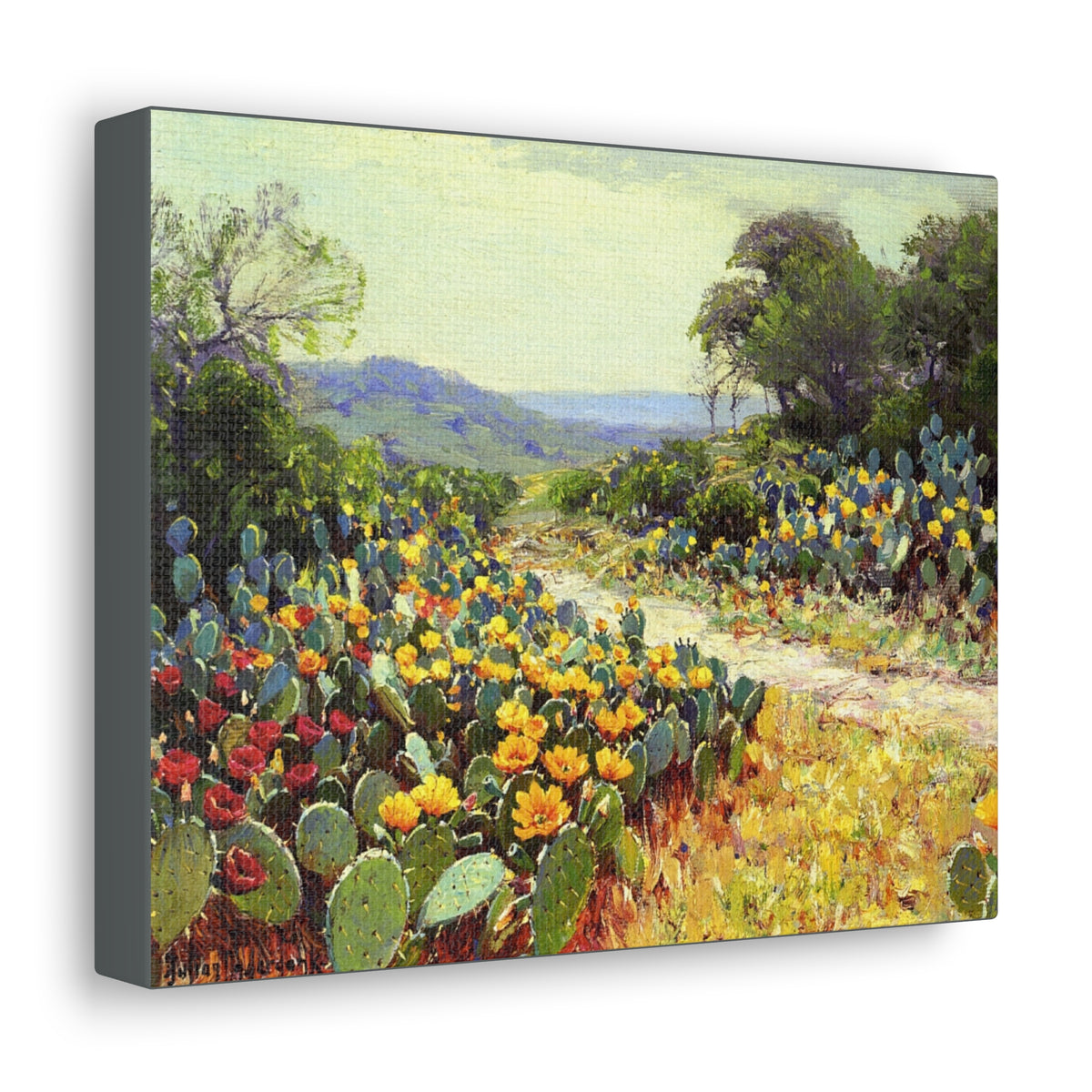 Cactus in Bloom - Julian Onderdonk - Canvas Gallery Wraps – Spruced Roost